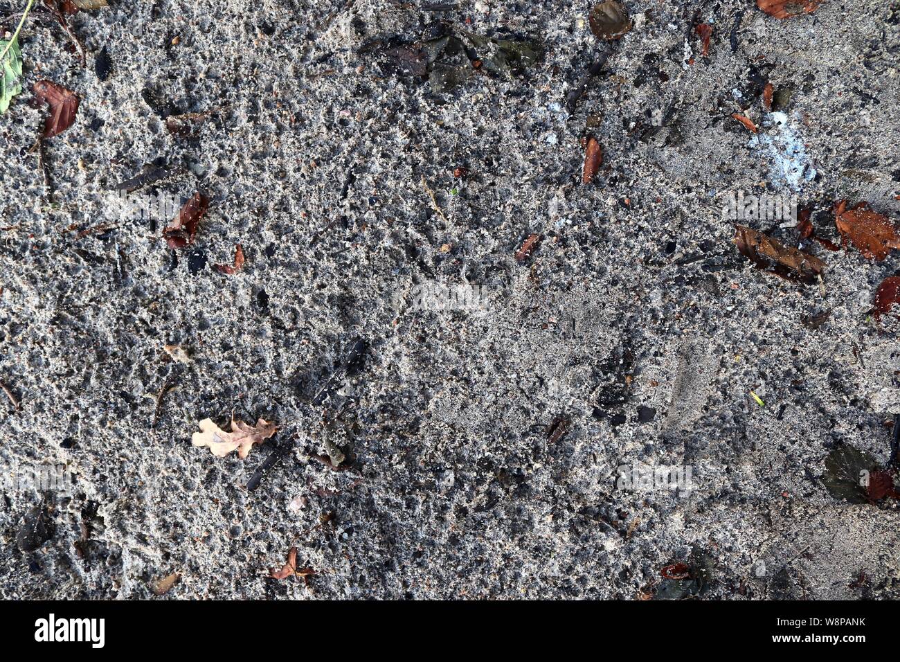Detailed view on sand at the beach of the baltic sea in high resolution ...