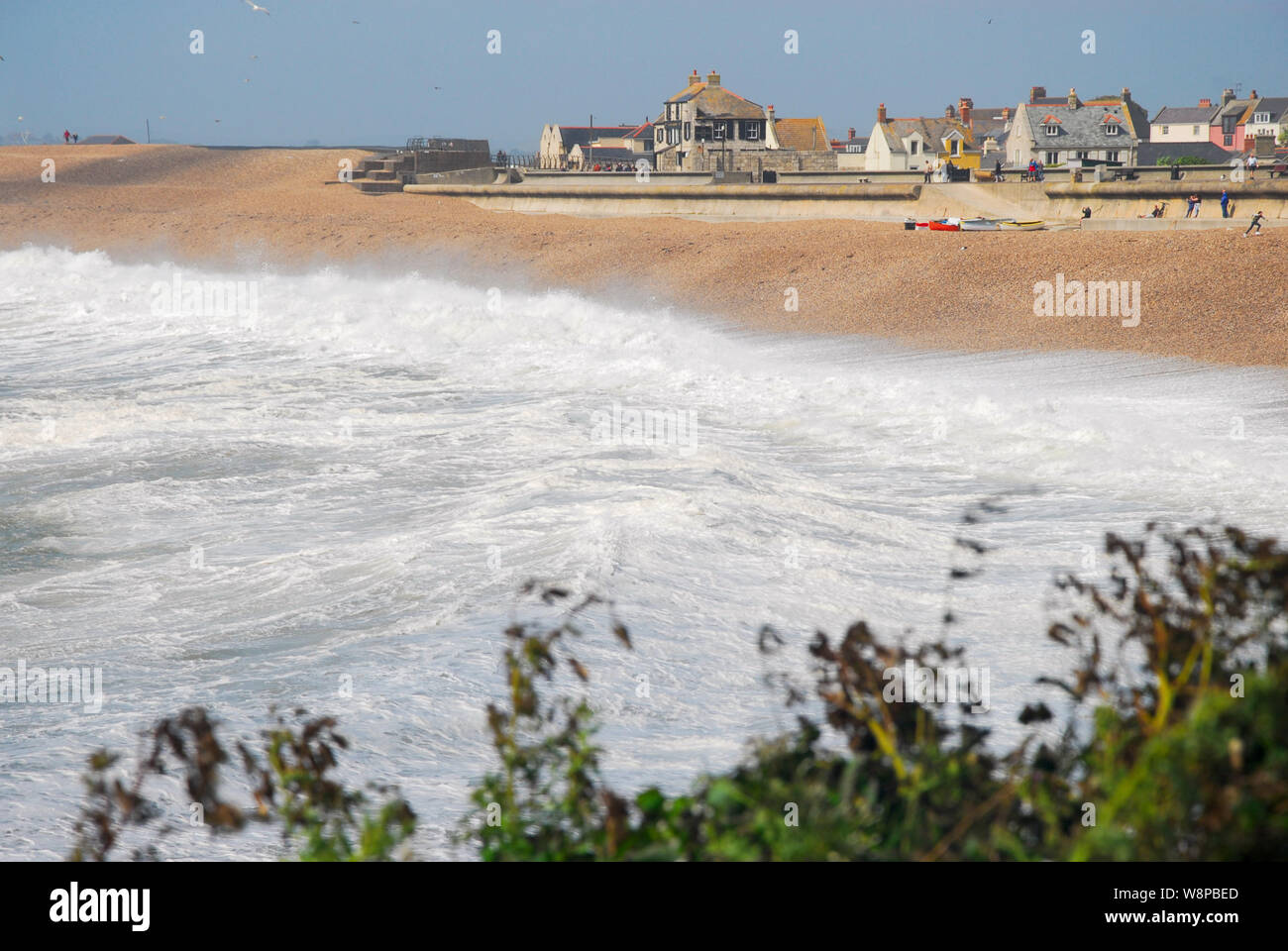 Alamy bird photographs hi-res stock photography and images - Alamy