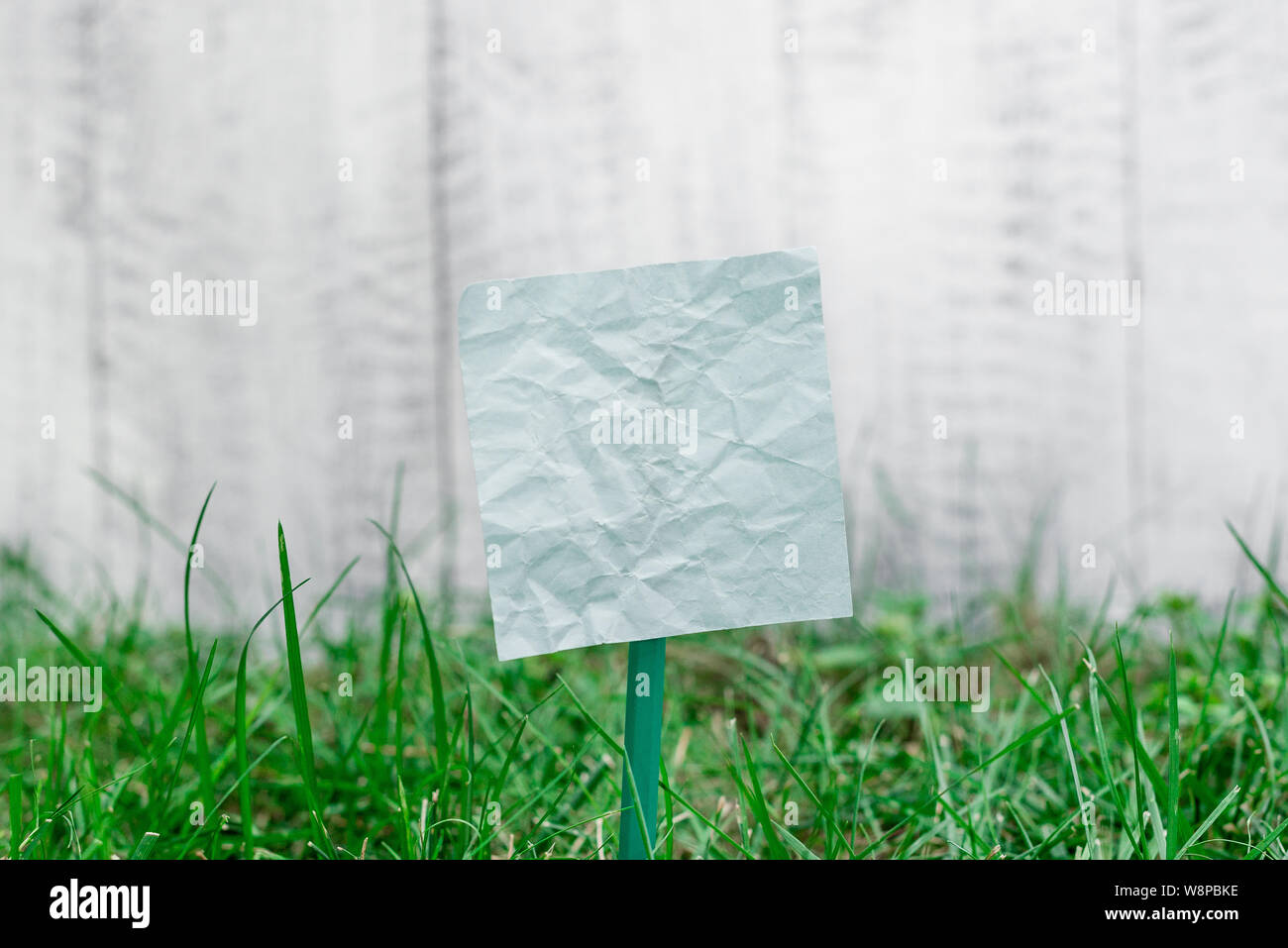 Plain empty paper attached to a stick and placed in the green grassy ...