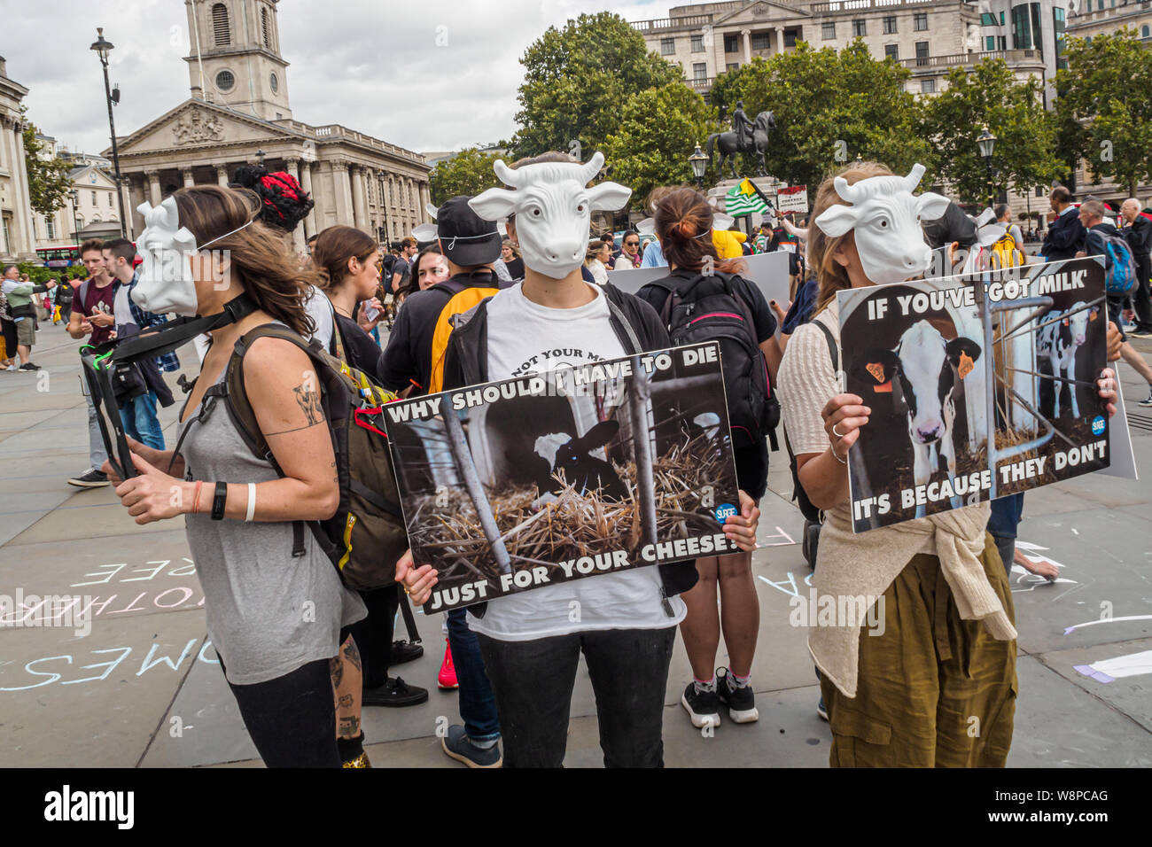 Dairy is cruel hi-res stock photography and images - Alamy