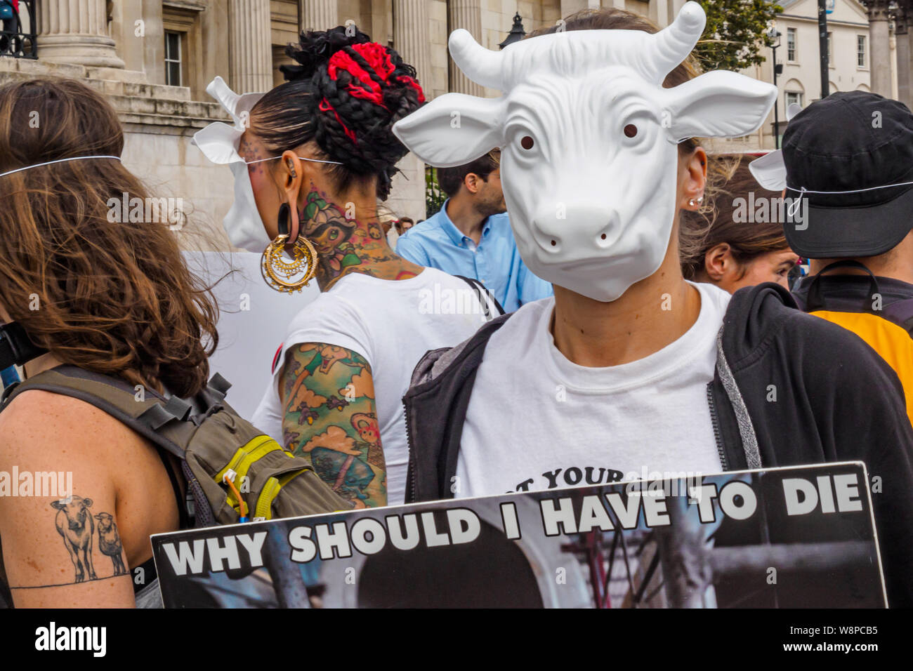 Cow breed poster hi-res stock photography and images - Alamy