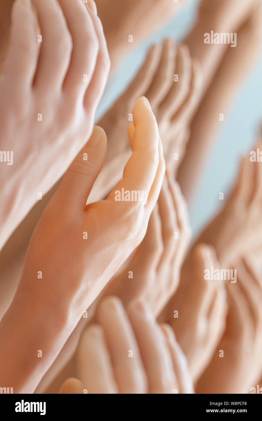 exhibition man`s and women`s silicone prosthesis hands, medicine pink ...