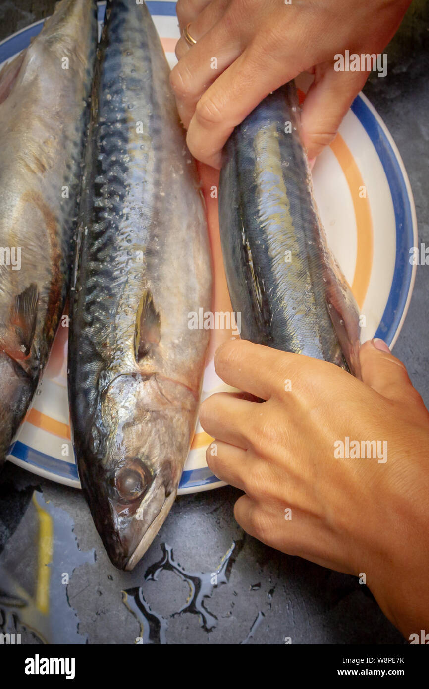 Marinating dishes hi-res stock photography and images - Alamy