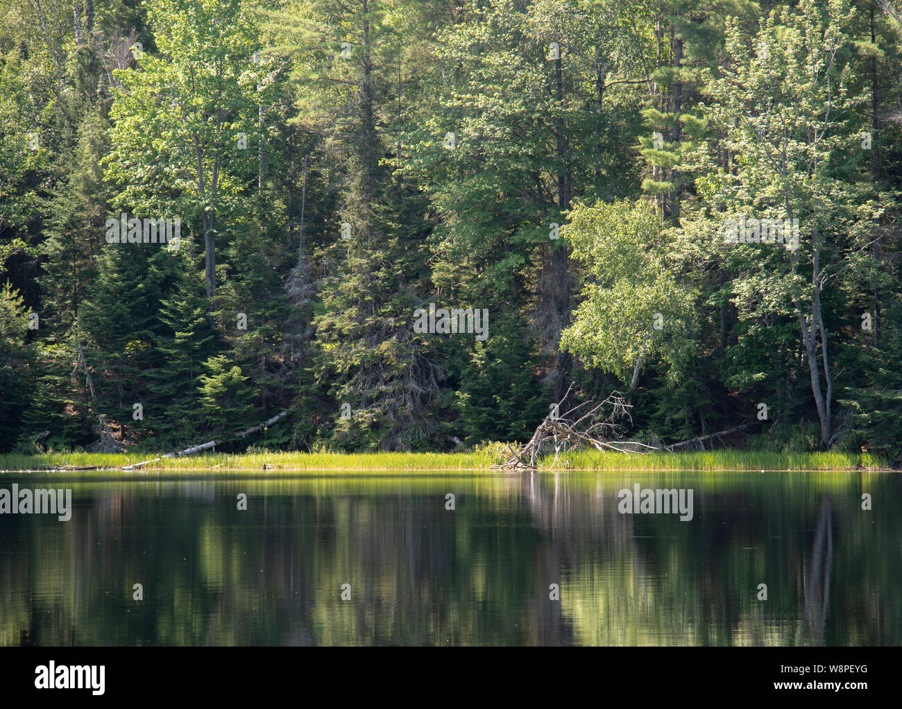 Wilderness scenery in northern ontario hi-res stock photography and ...