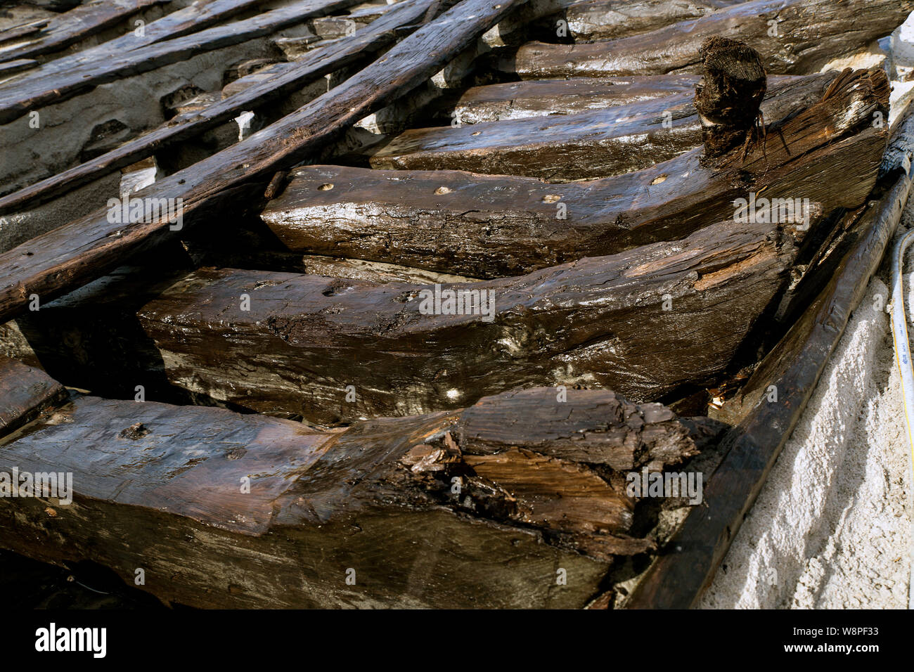 Oak frame timber in the large 500 years old ship wreck which is ...