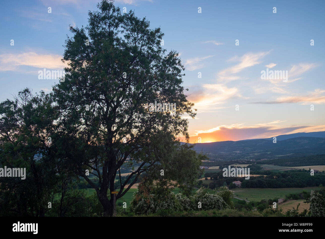 Provence. Summer landscape Stock Photo - Alamy
