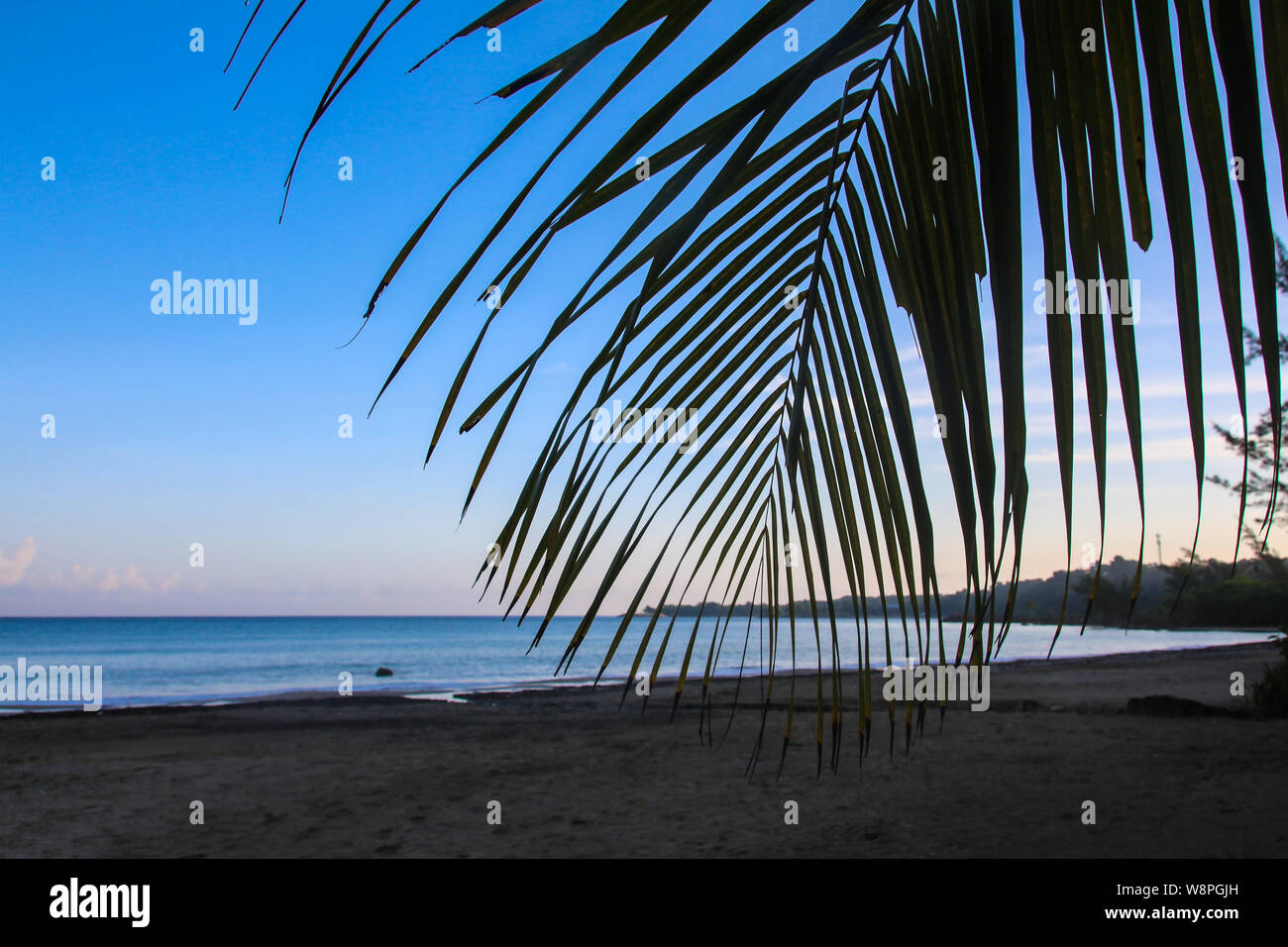 Jamaica boasts white sand beaches, famous scenic waterfalls, blue ...