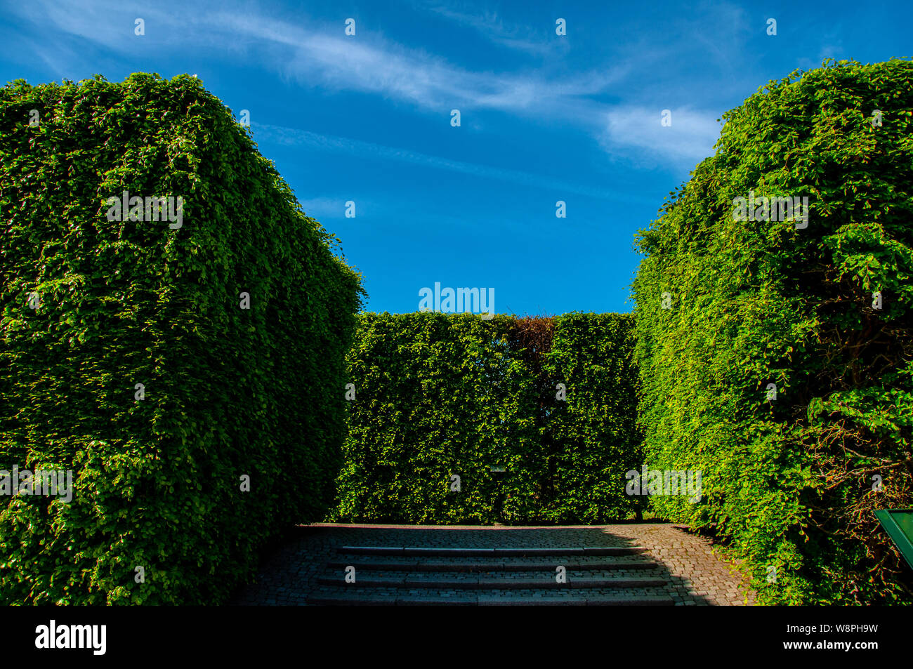 Tree malm hi-res stock photography and images - Alamy