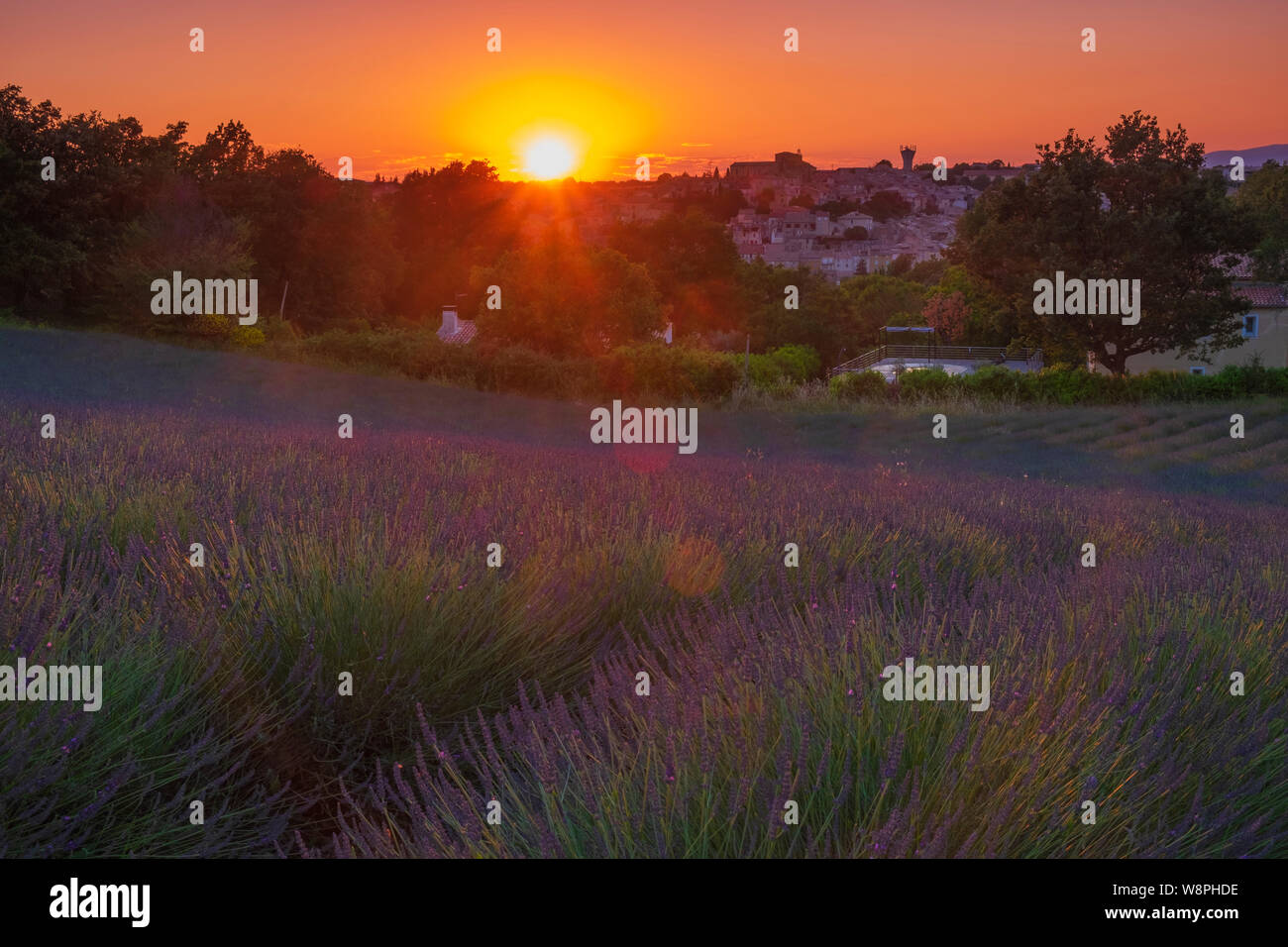Provence. Summer landscape Stock Photo - Alamy