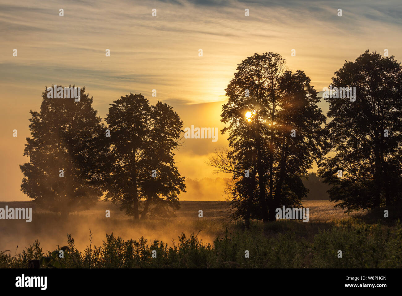 A foggy sunrise over a northern Wisconsin meadow Stock Photo - Alamy