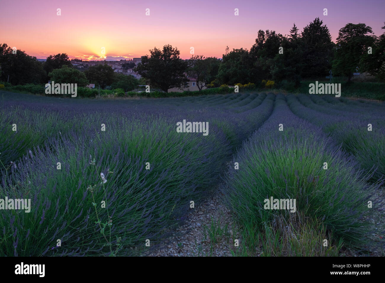 Provence. Summer landscape Stock Photo - Alamy