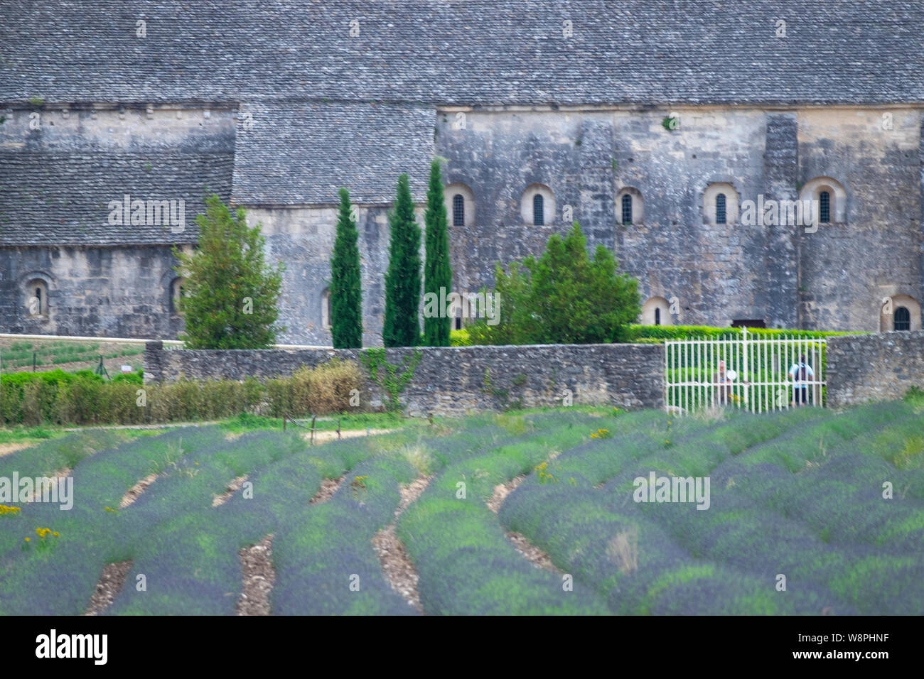 Provence. Summer landscape Stock Photo - Alamy