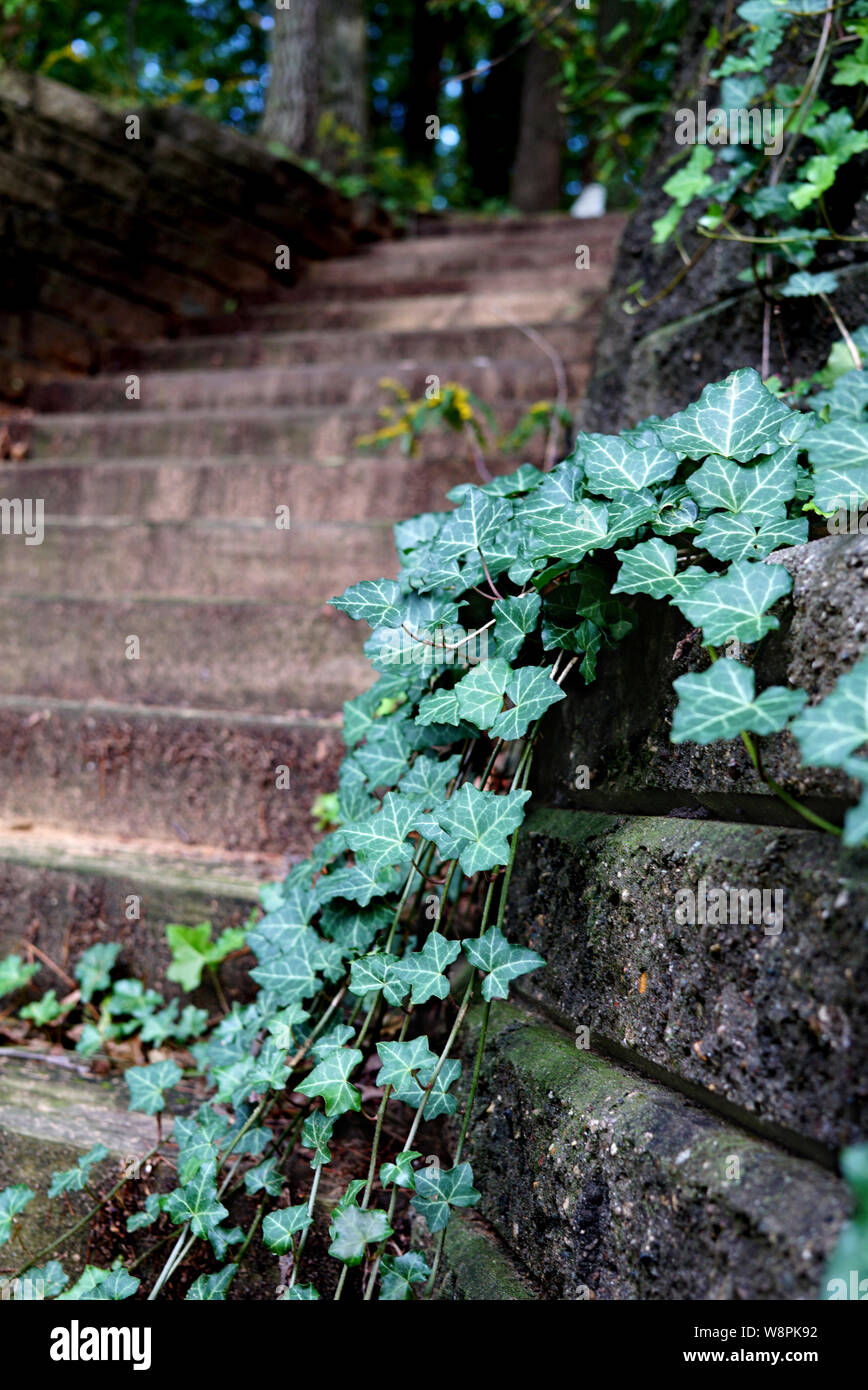 Mossy stone stairs hi-res stock photography and images - Alamy