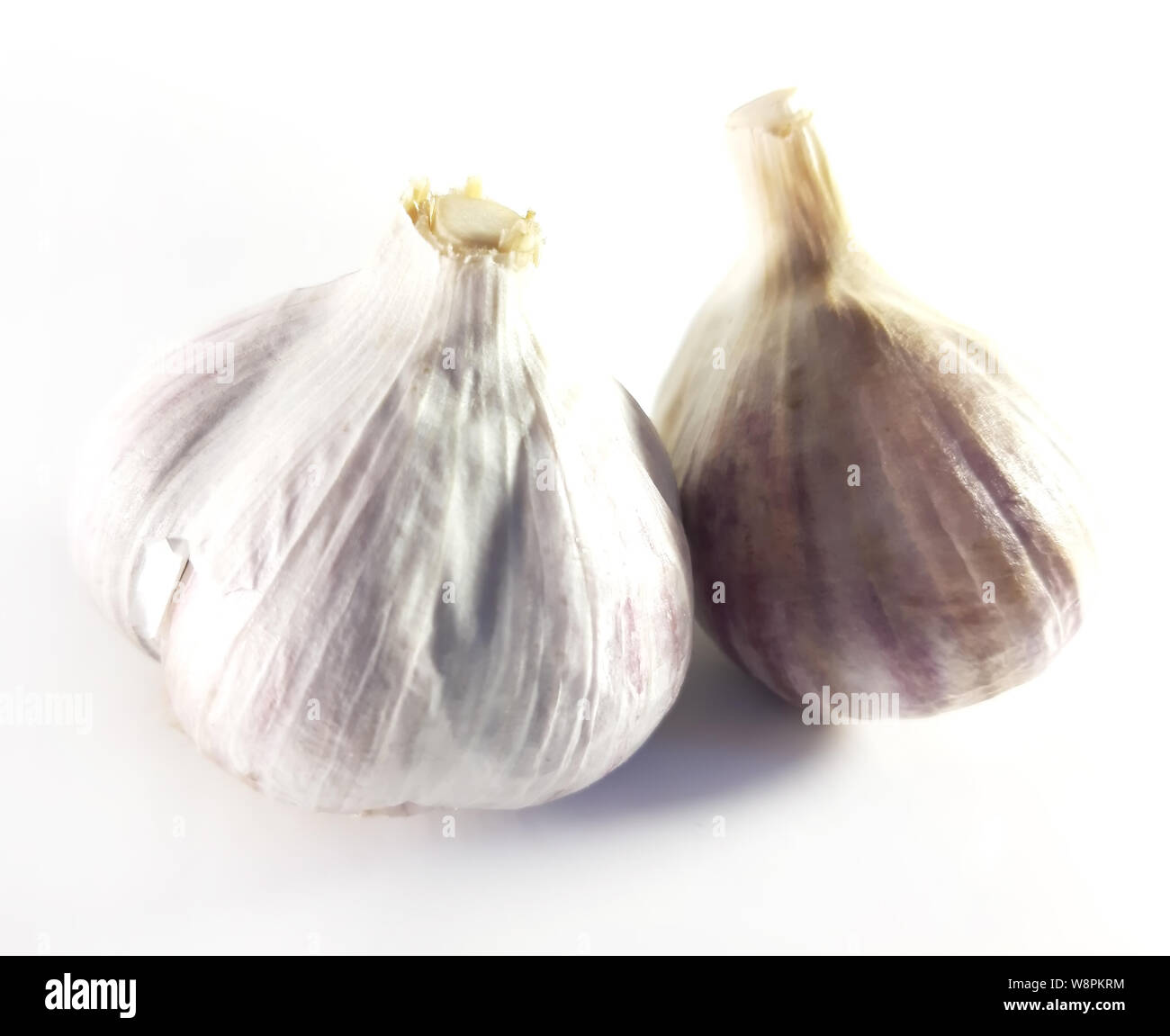 Garlic isolated, great design for any purposes. White design background ...