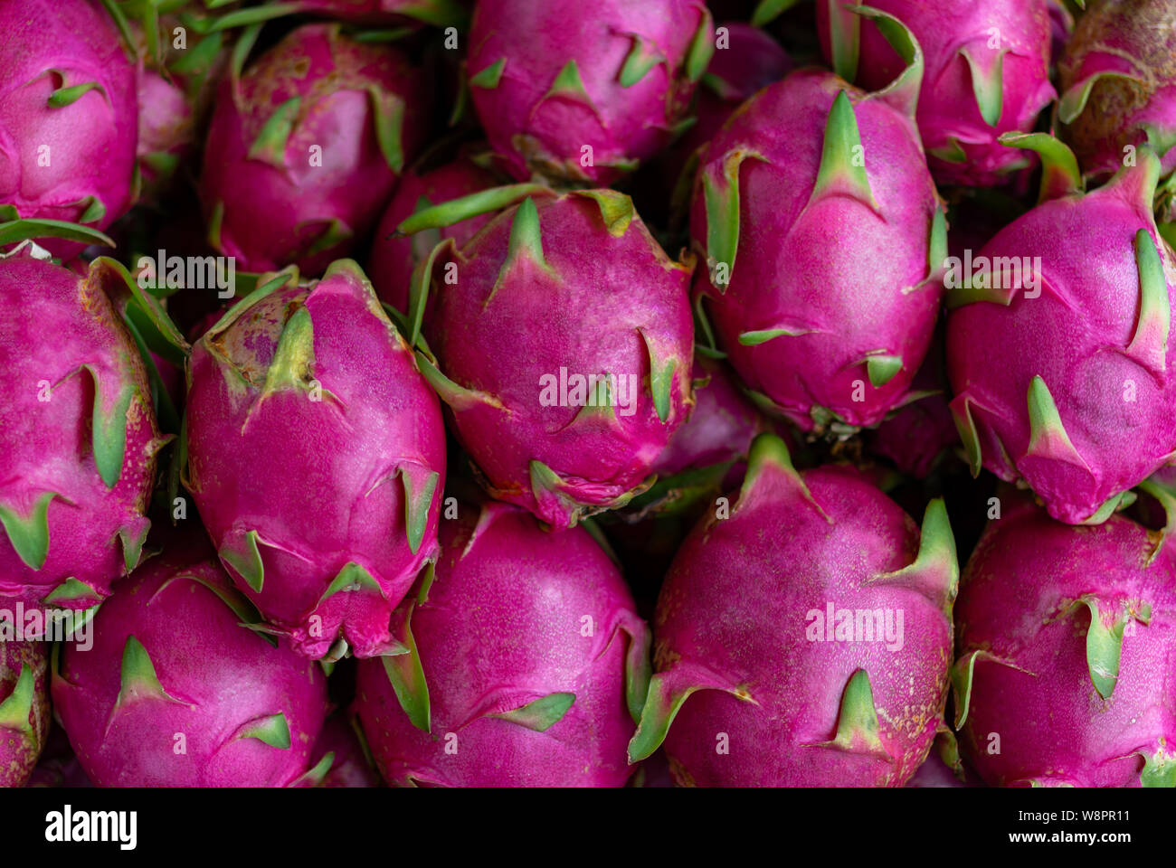 Pitaya flower hi-res stock photography and images - Alamy
