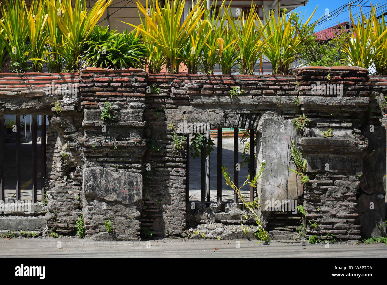 Decorative garden on a granite fence isolated on white background Stock ...