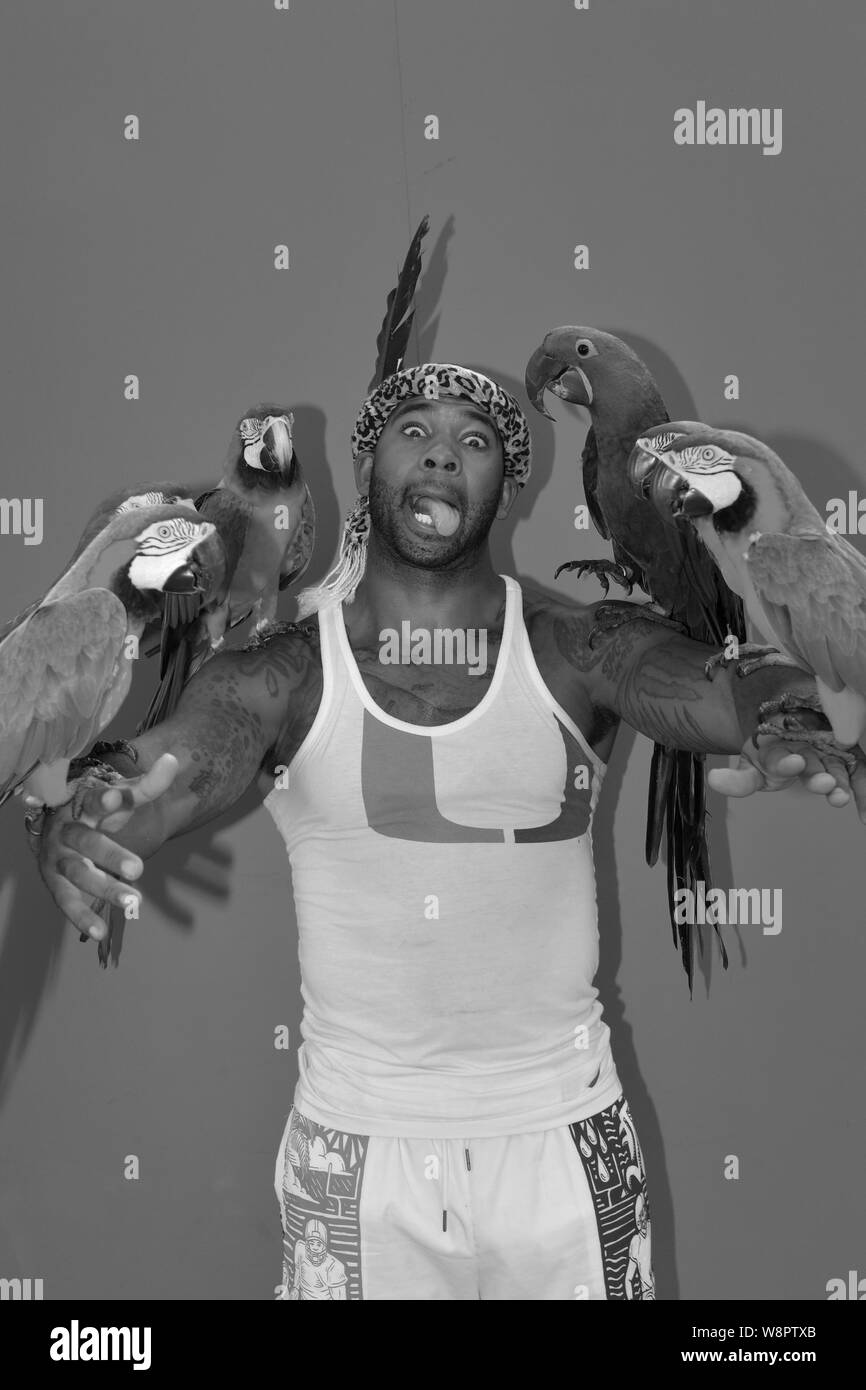 Old v new animals hi-res stock photography and images - Alamy