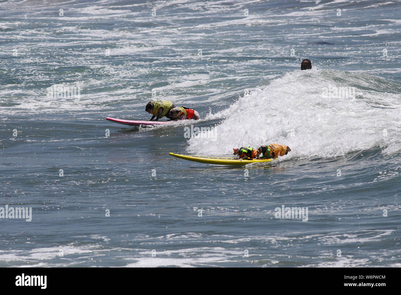 Charlie share hi-res stock photography and images - Alamy