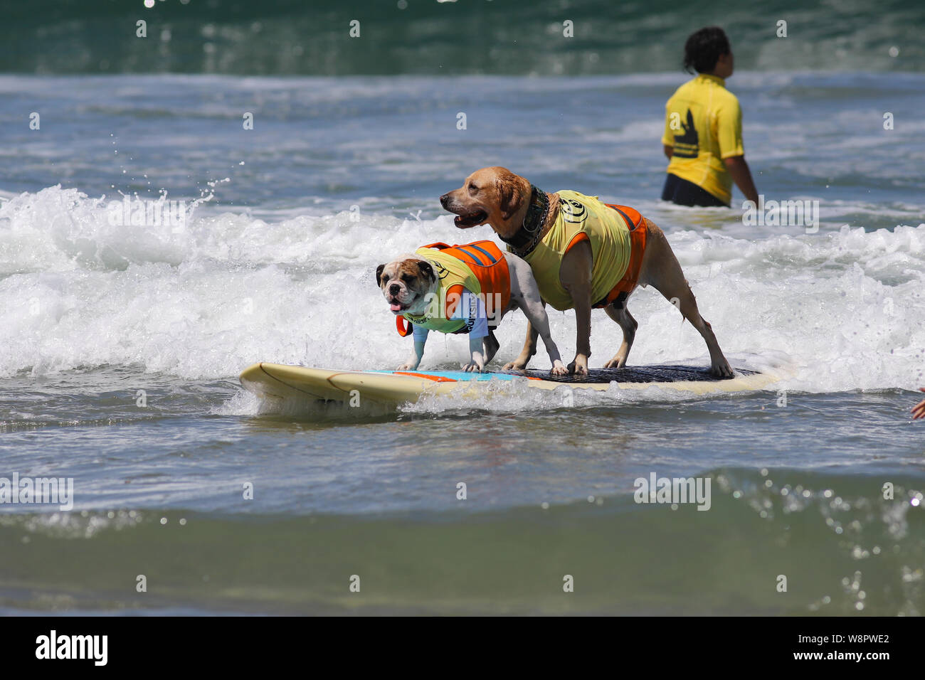 Rothstein hi-res stock photography and images - Alamy