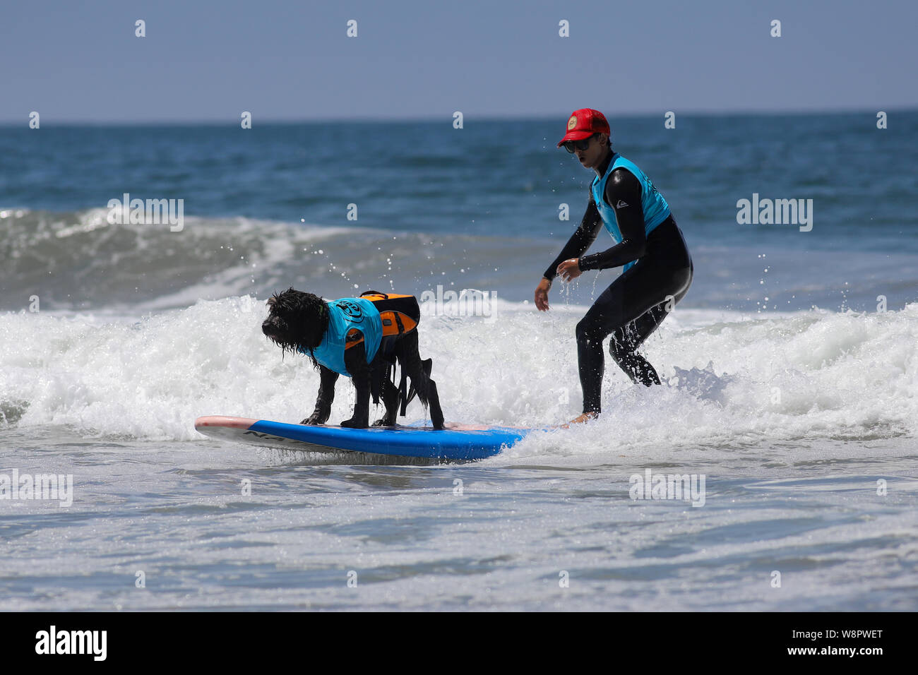 Ben brody hi-res stock photography and images - Alamy