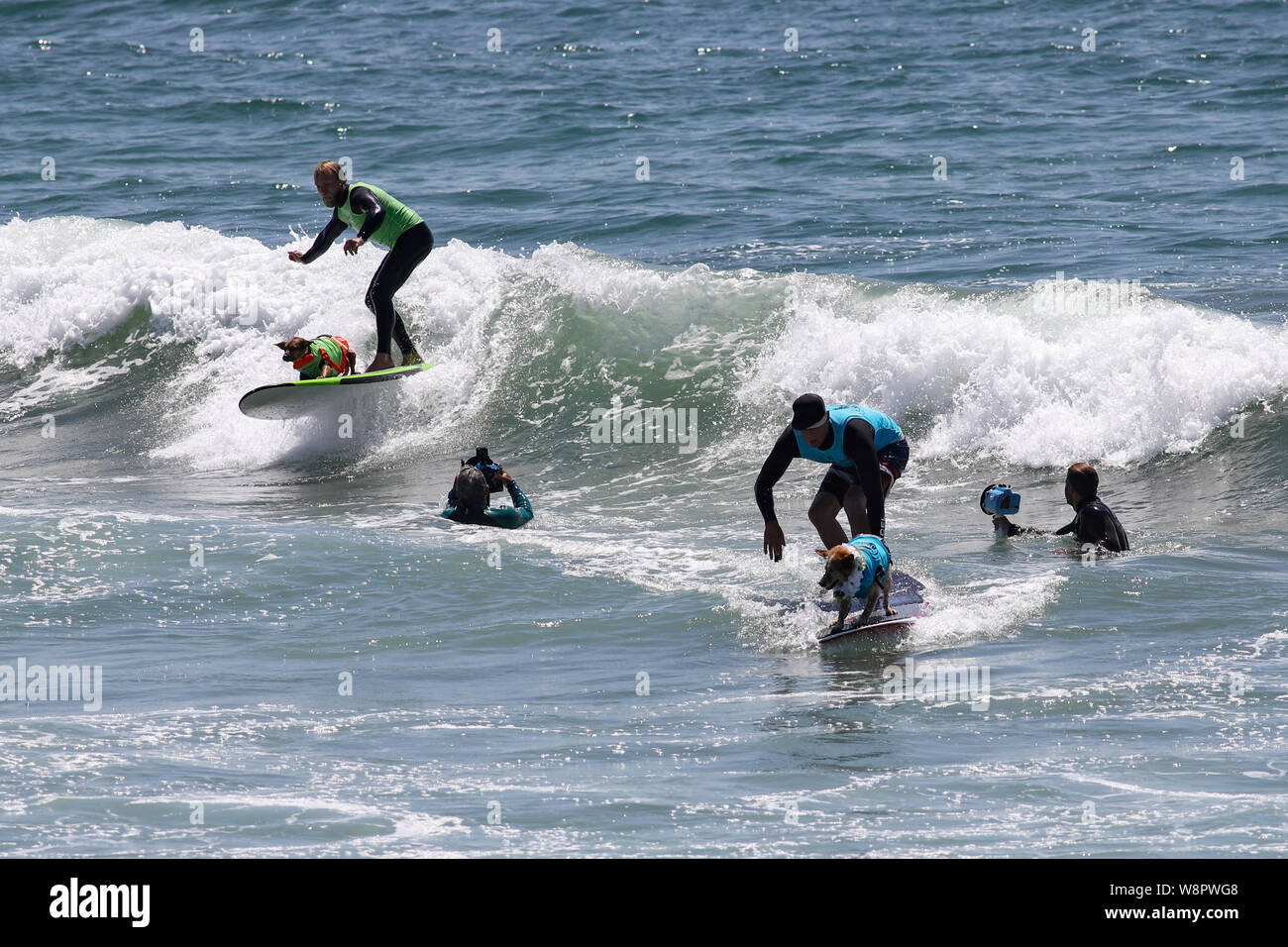 Perfect competition hi-res stock photography and images - Alamy