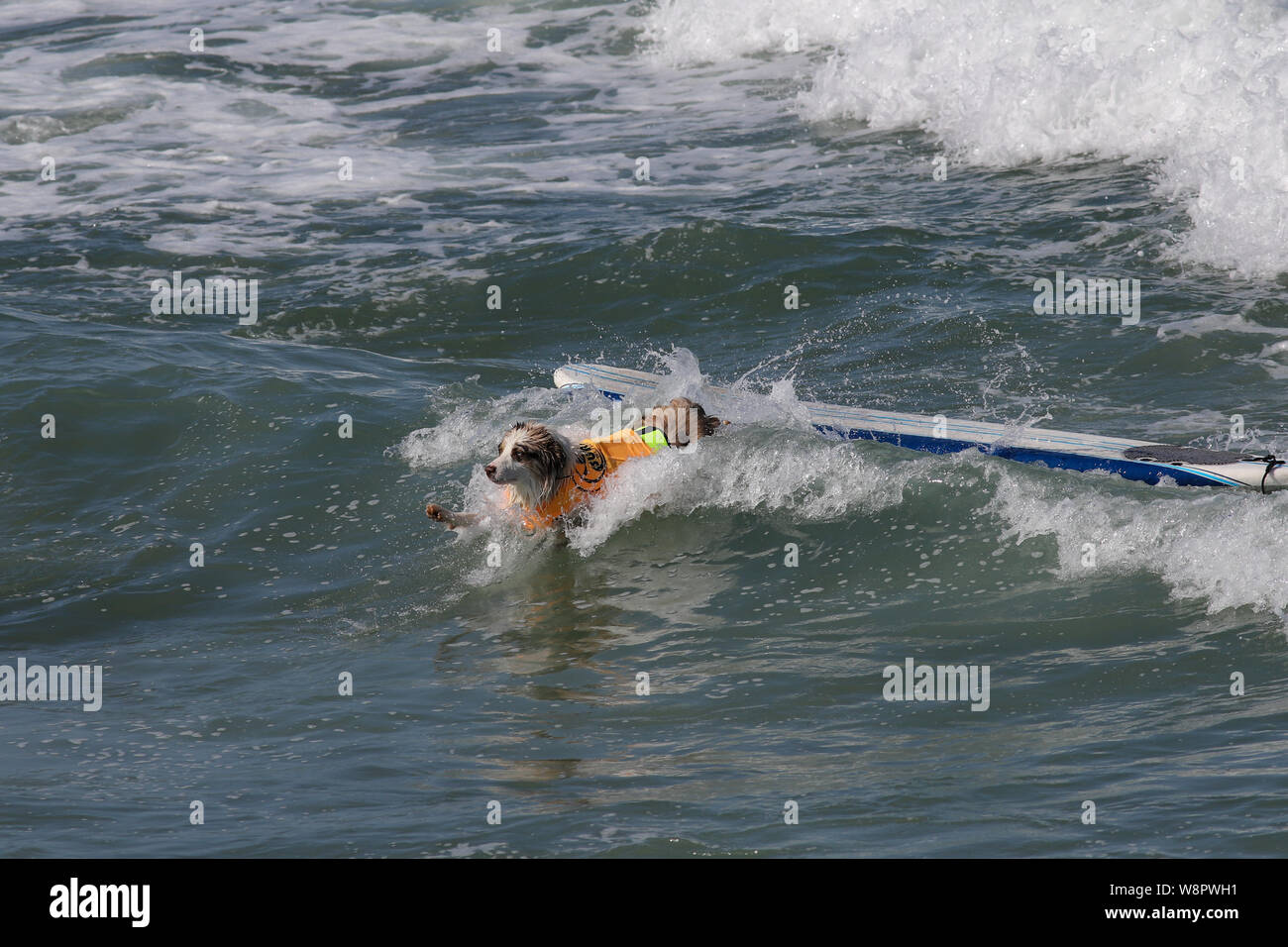 Zeus beach hi-res stock photography and images - Alamy