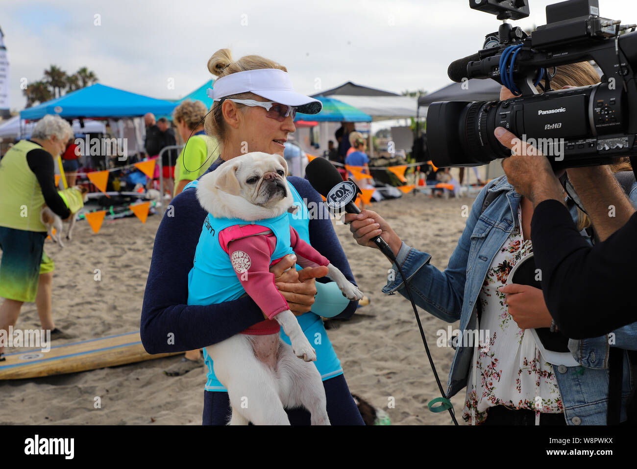 Imperial Beach, California, USA. 10th August, 2019. Surf Gidget The Pug ...