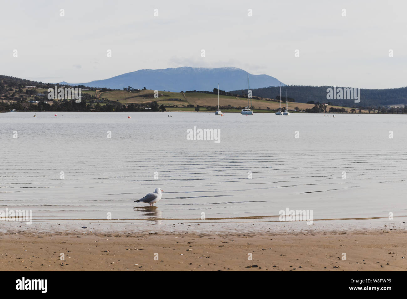HOBART, AUSTRALIA - July 20th, 2019: sunny Australian beach in Cremorne ...