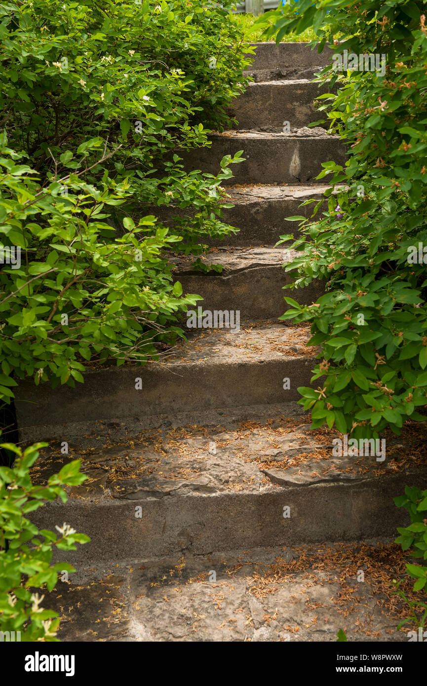Concrete steps pathway green hi-res stock photography and images - Alamy