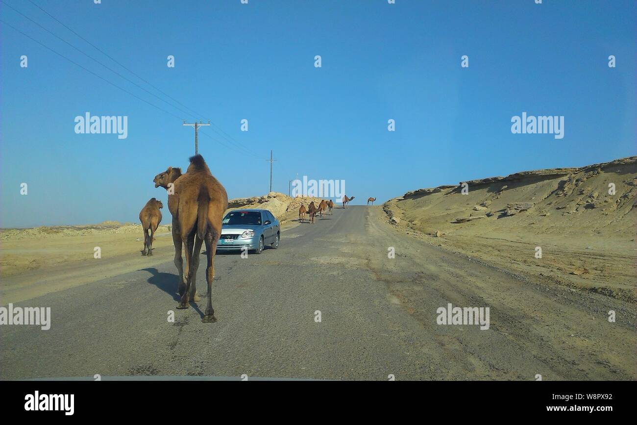 Chabahar iran hi-res stock photography and images - Alamy
