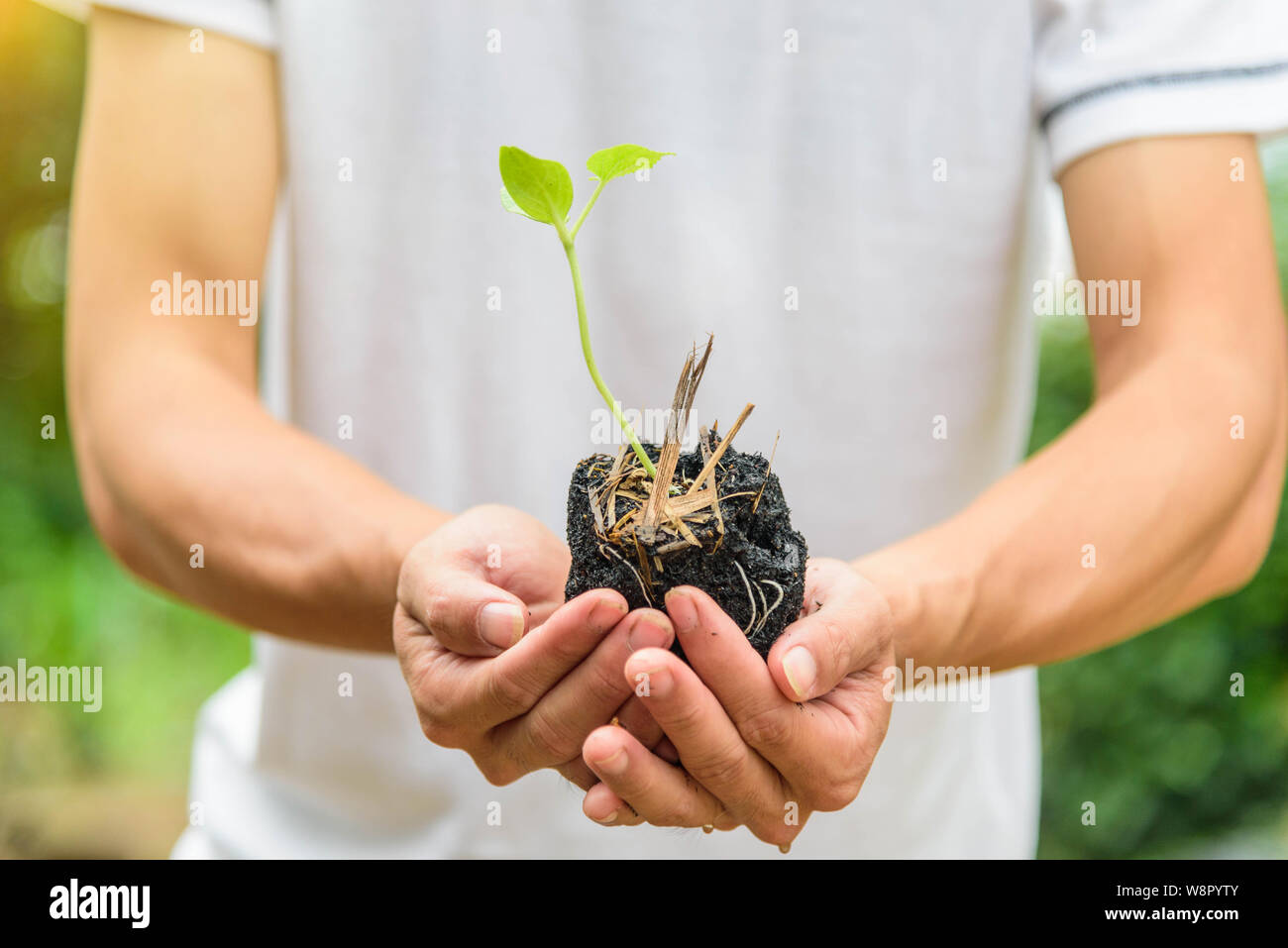 The man hold the sapling for plant Stock Photo - Alamy