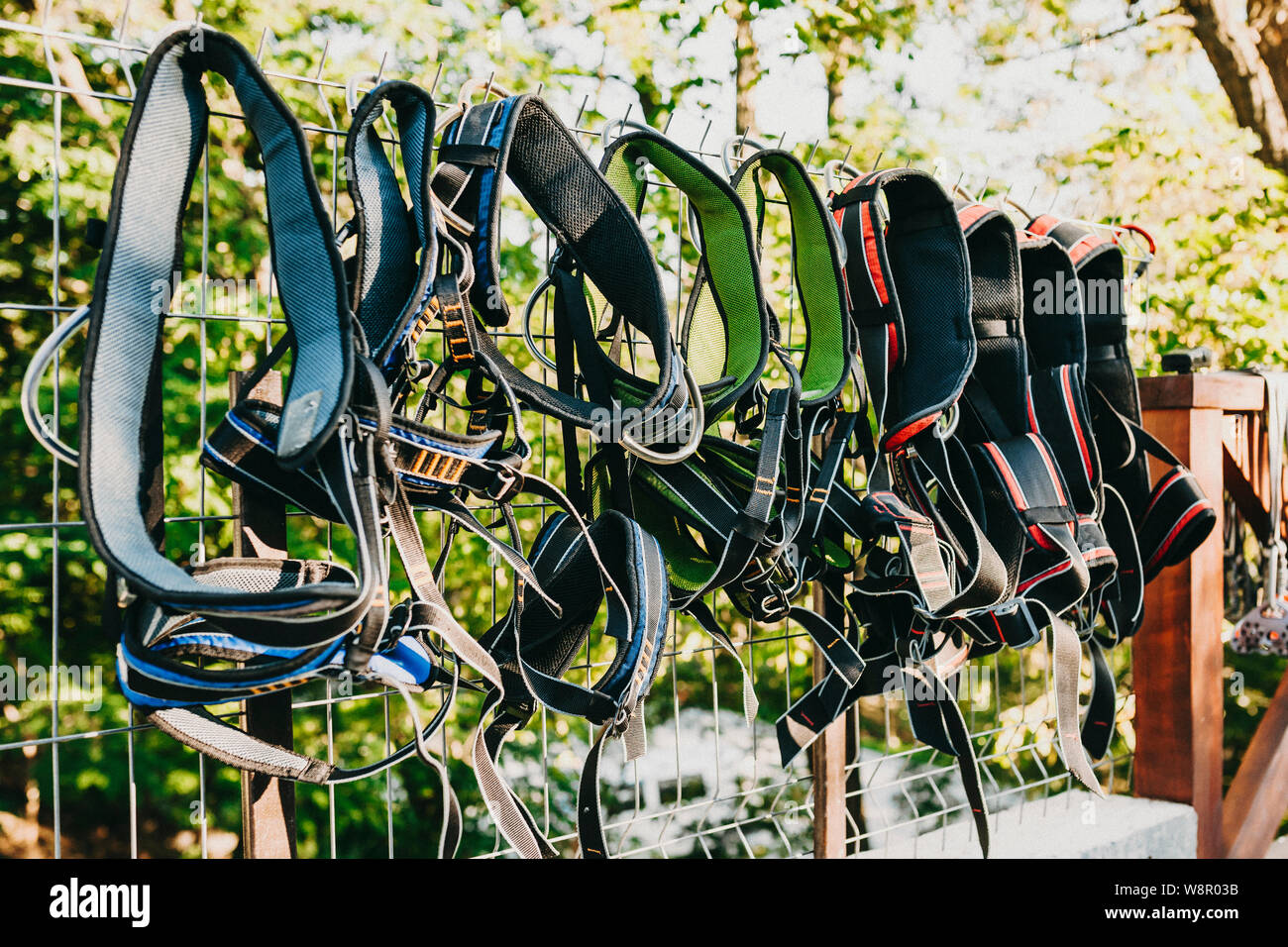 View of colorful safety harness hanging on metal fence in summer park ...