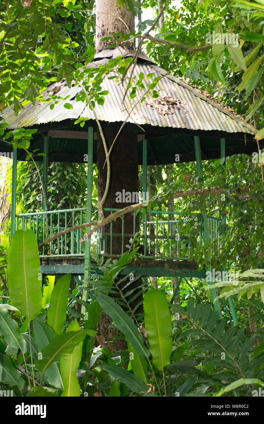 A very simple tree house surrounding a tree Stock Photo - Alamy
