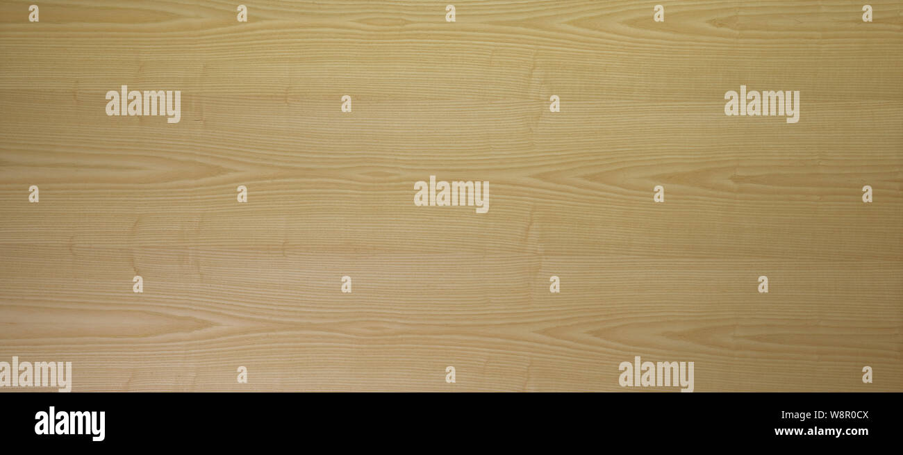 Light natural oak wooden panel background texture in a full frame ...