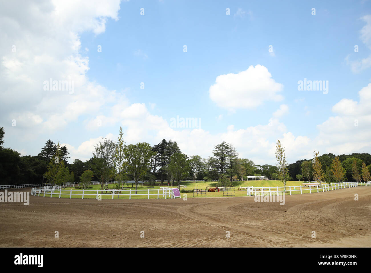 Tokyo, Japan. 11th Aug, 2019. General view Equestrian : READY STEADY ...