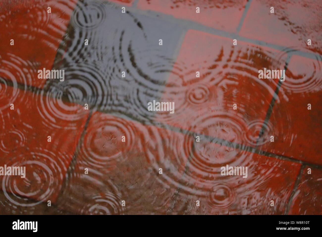 Circular ripples formed in the water due to the rain drops Stock Photo ...