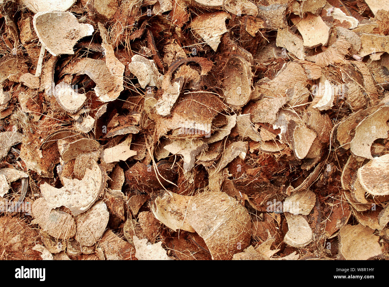 Coconut husk burning hi-res stock photography and images - Alamy