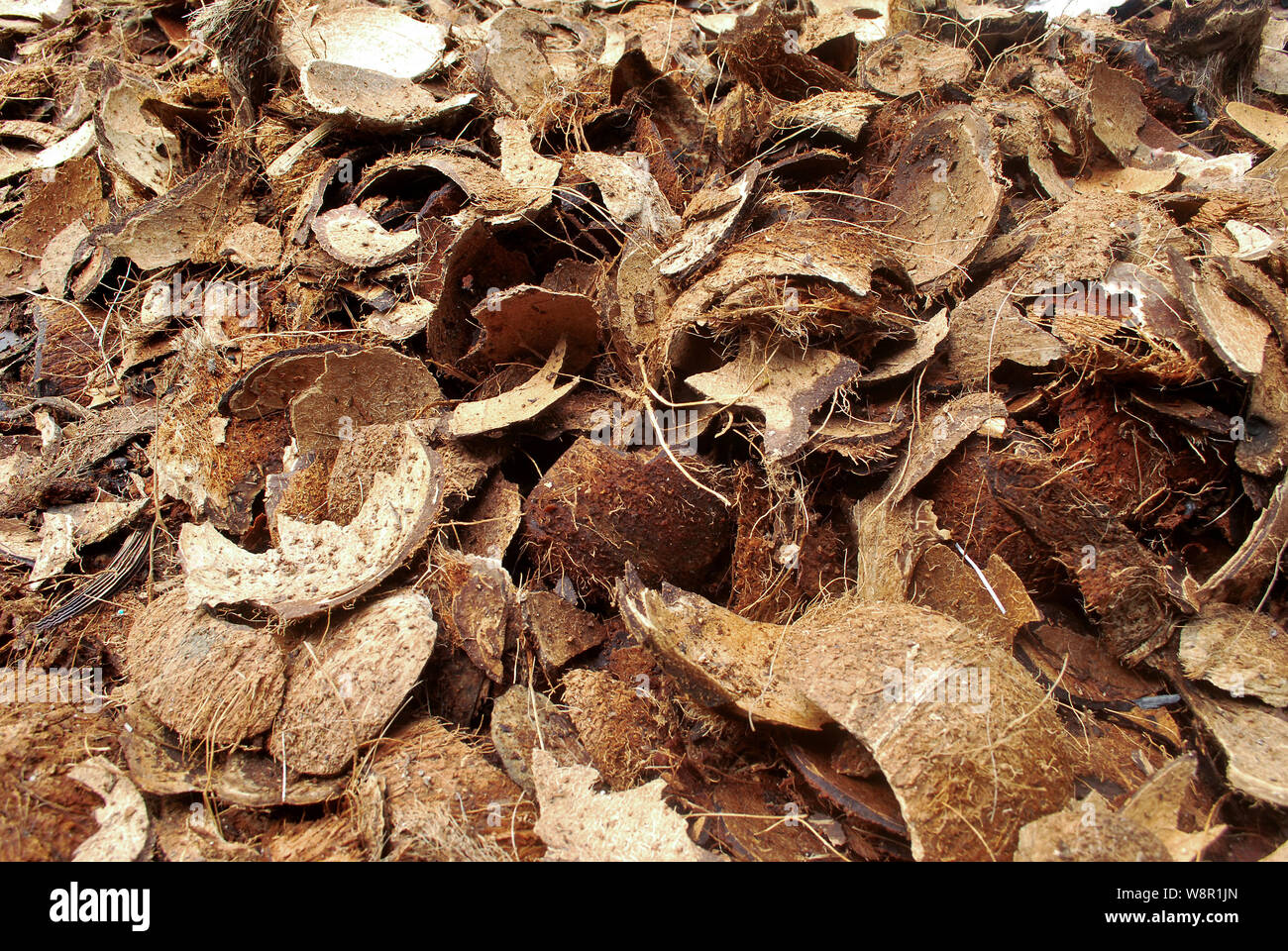Coconut husk burning hi-res stock photography and images - Alamy