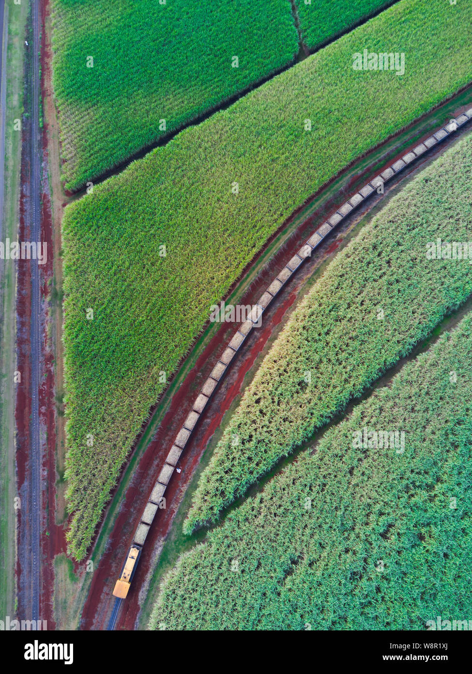Aerial of sugarcane train hauling freshly cut sugar cane to the Isis ...