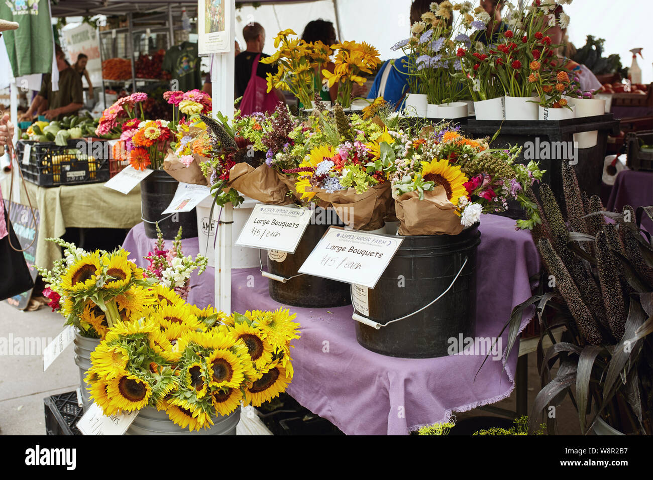 Bouquets of fresh cut sunflowers on display at a farmers market in ...