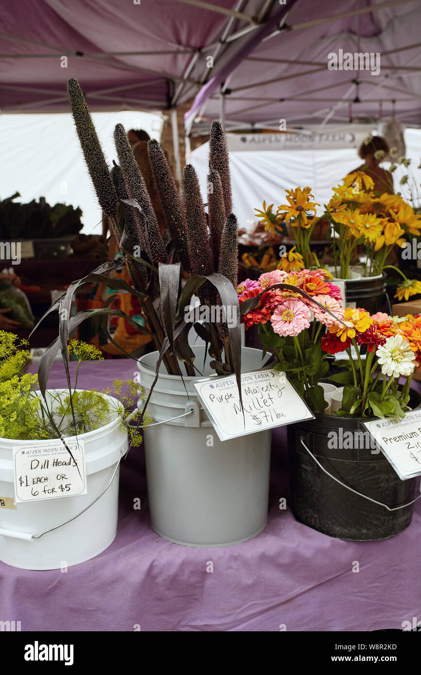 Bouquets of fresh cut flowers on display at a farmers market in Boulder ...