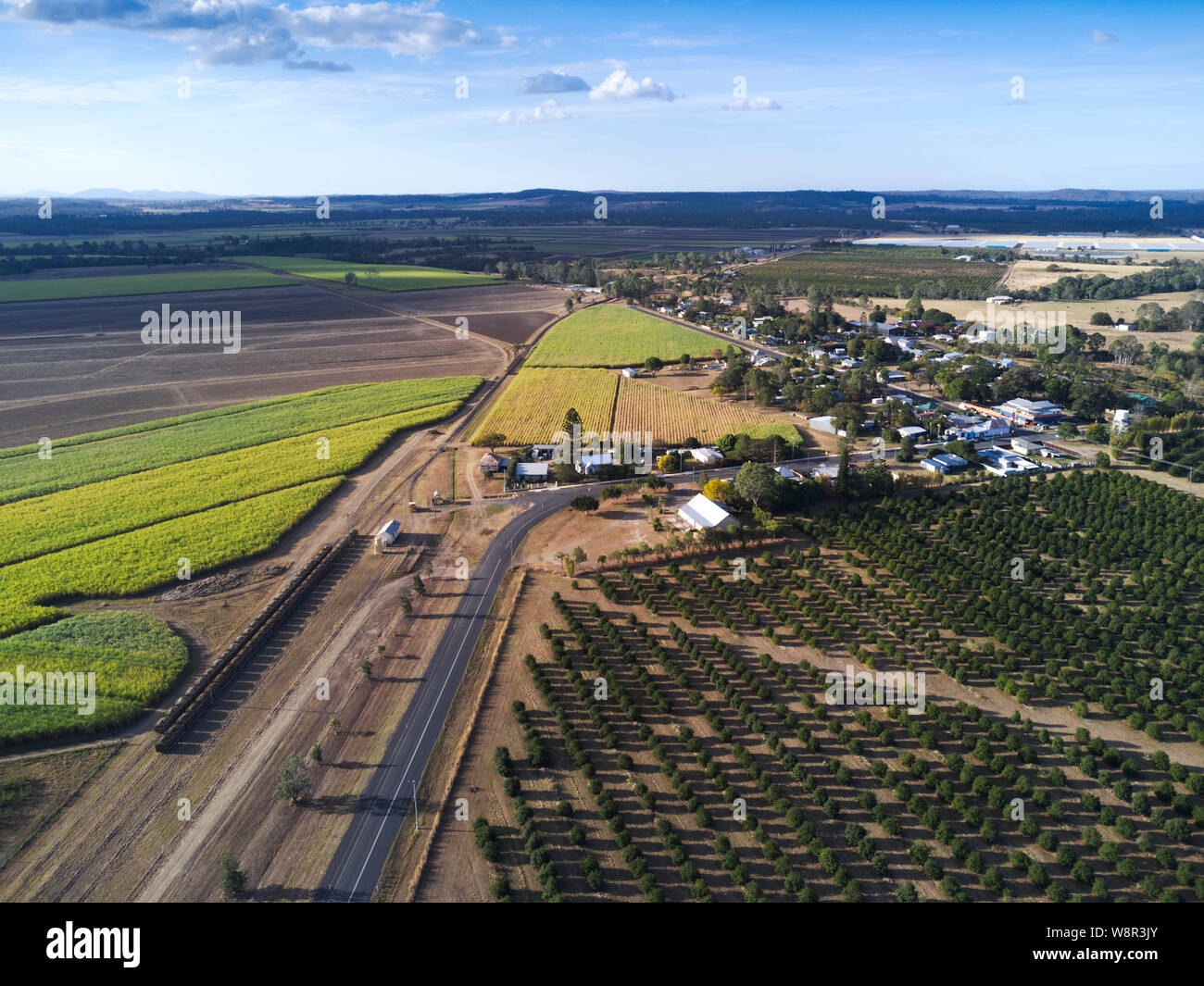Sugar cane railway train hi-res stock photography and images - Alamy