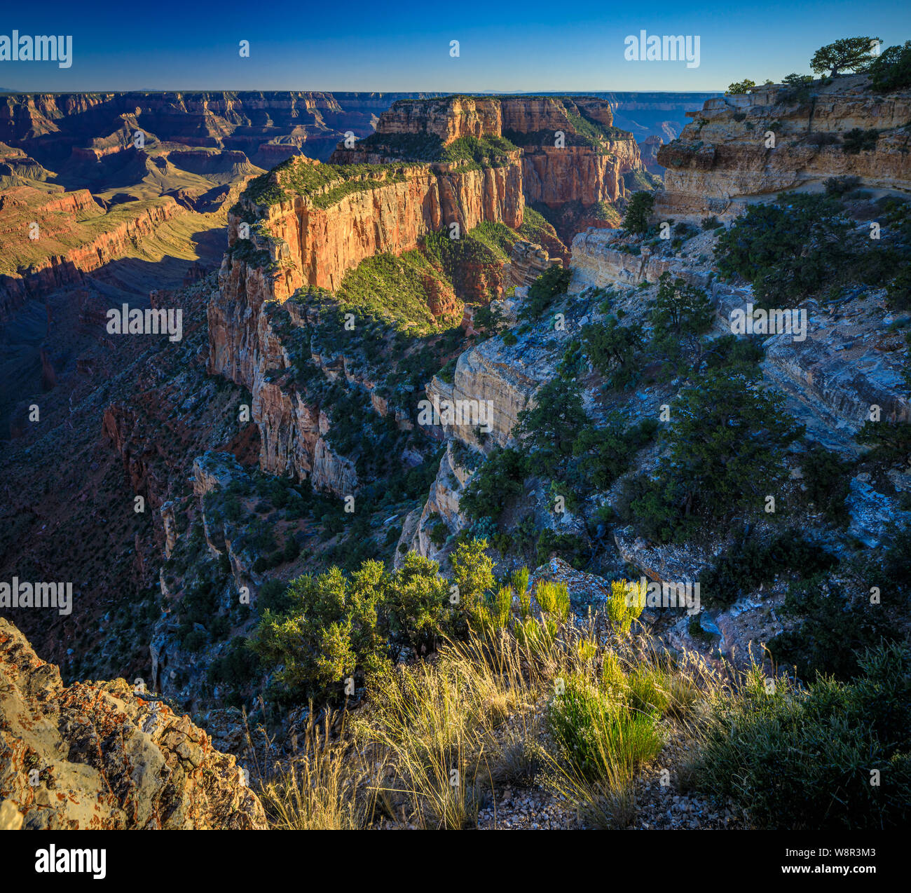 Sunset at Cape Royal on the North Rim of the Grand Canyon National Park ...