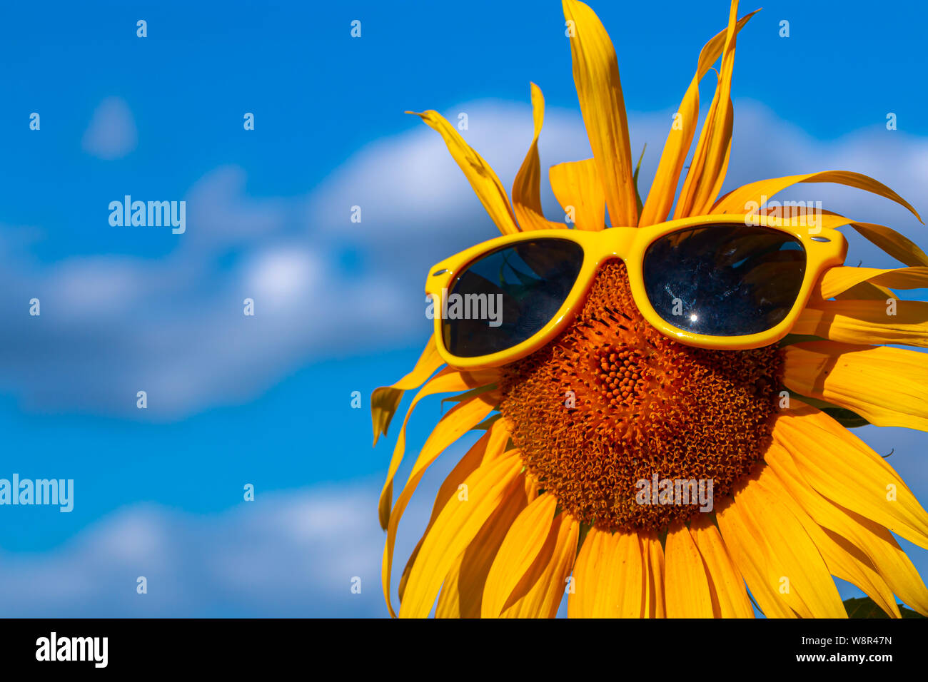 Funny sun hi-res stock photography and images - Alamy