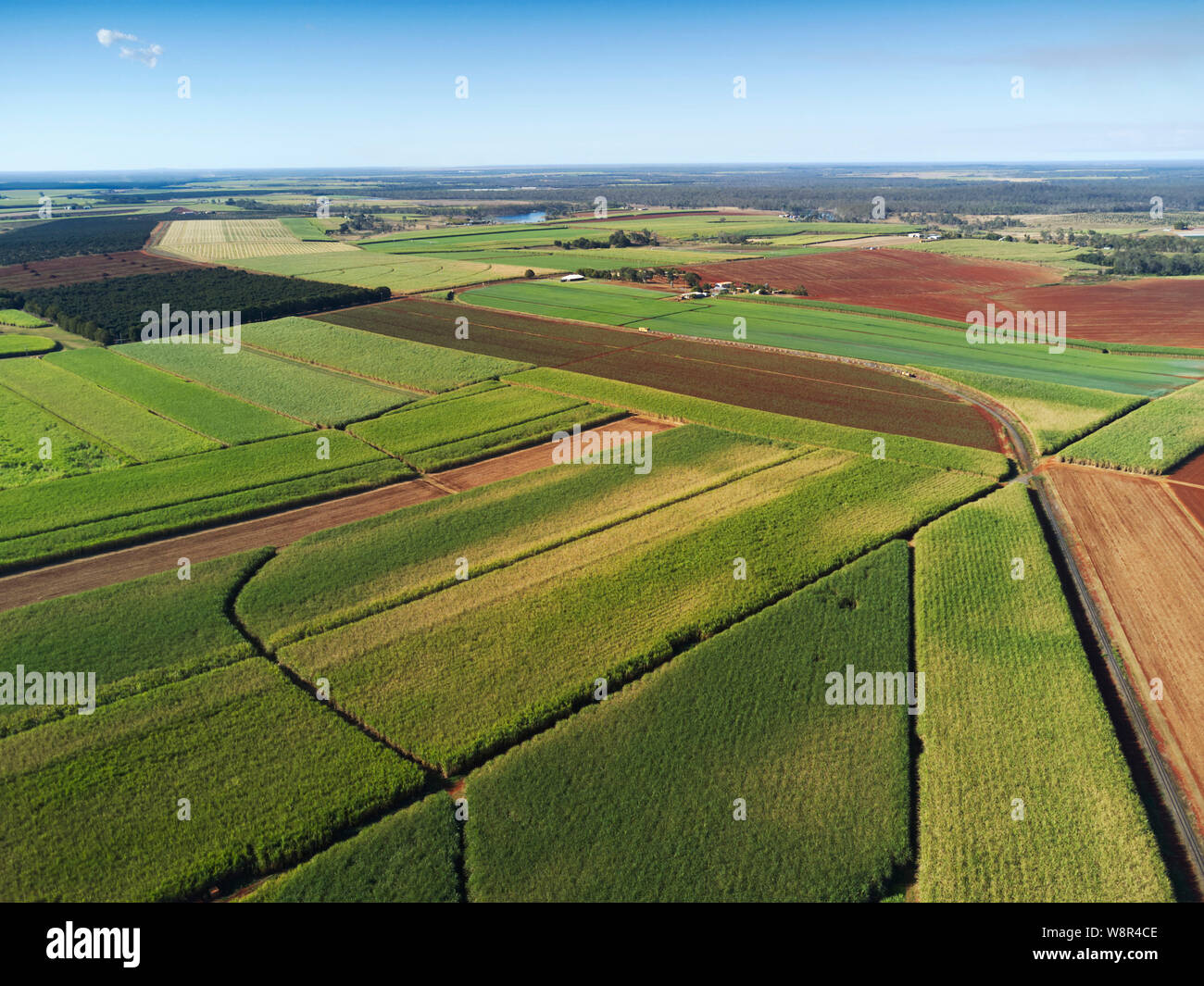 Aerial of the red volcanic soils of cleared farmland now growing sugar ...