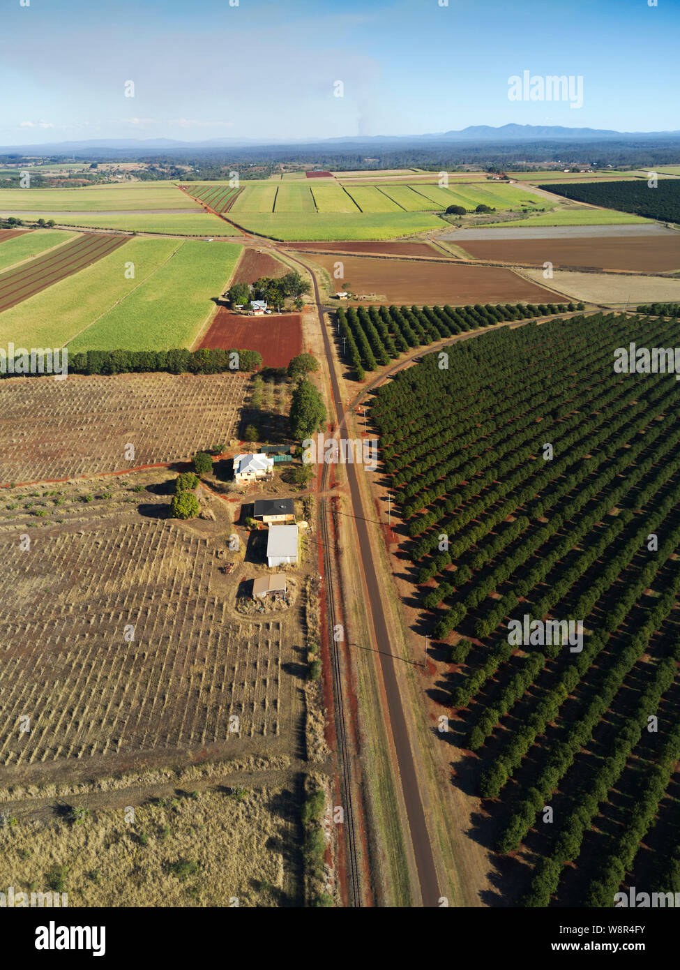 Aerial of the macadamia nut tree plantations that now cover what was ...