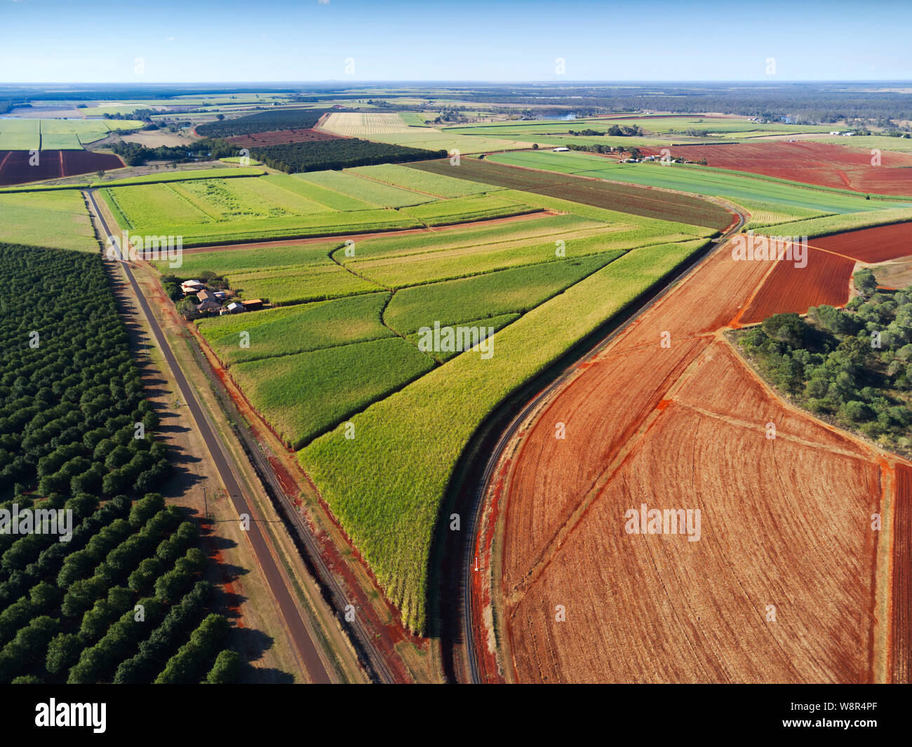 Aerial of farmhouse surrounded by sugar cane and macadamia nut tree ...