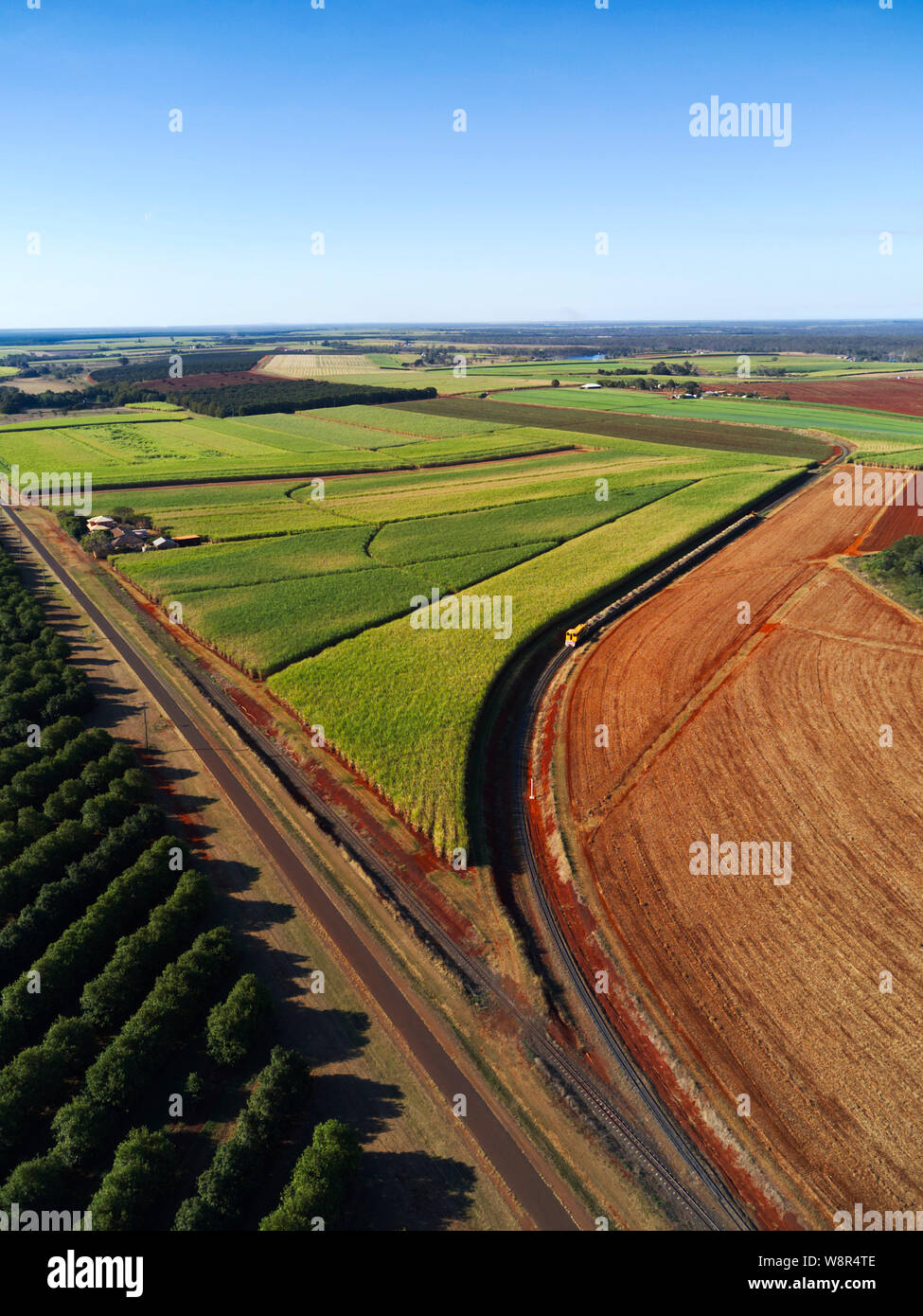 Aerial of a sugar cane train hauling a load of freshly cut sugar cane ...