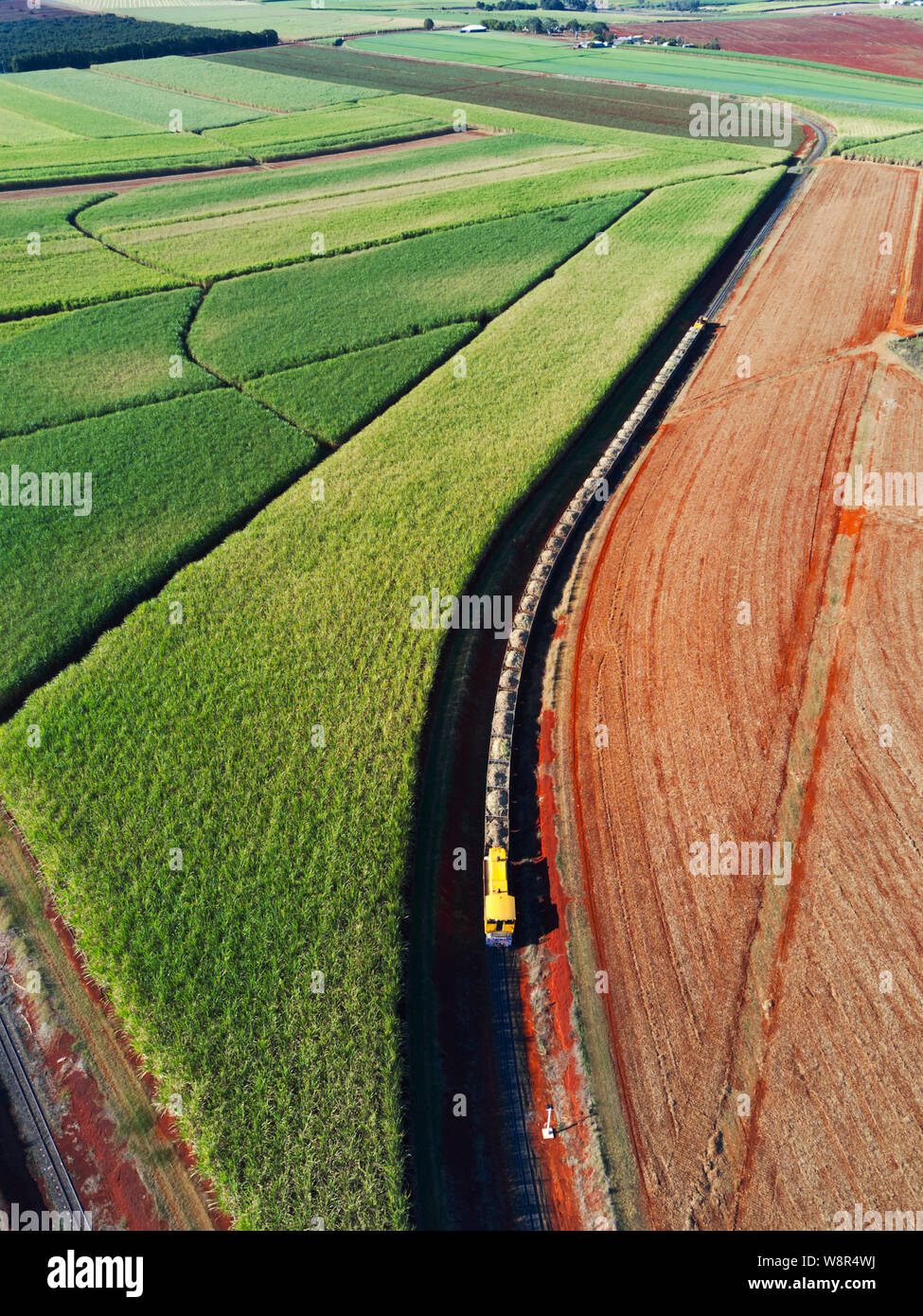 Aerial of a sugar cane train hauling a load of freshly cut sugar cane ...