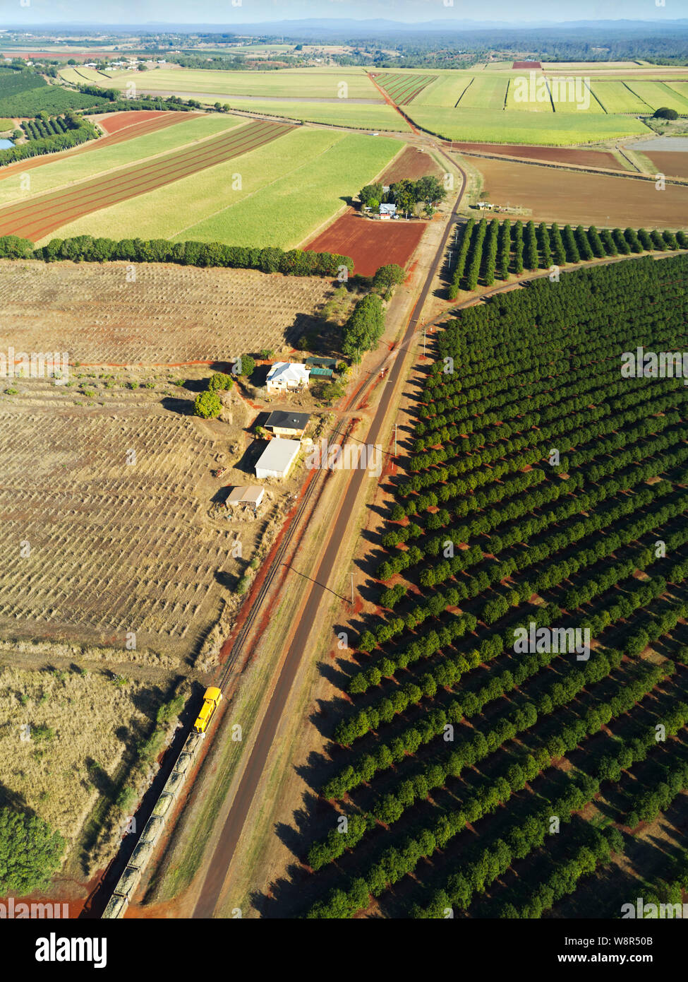 Aerial of a sugar cane train hauling freshly cut sugar cane to the Isis ...